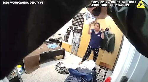 Los Angeles County Sheriff Releases Video of Deputy Shooting Arson ...