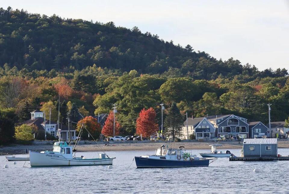 The last of Maine’s fall foliage is turning - NewsBreak