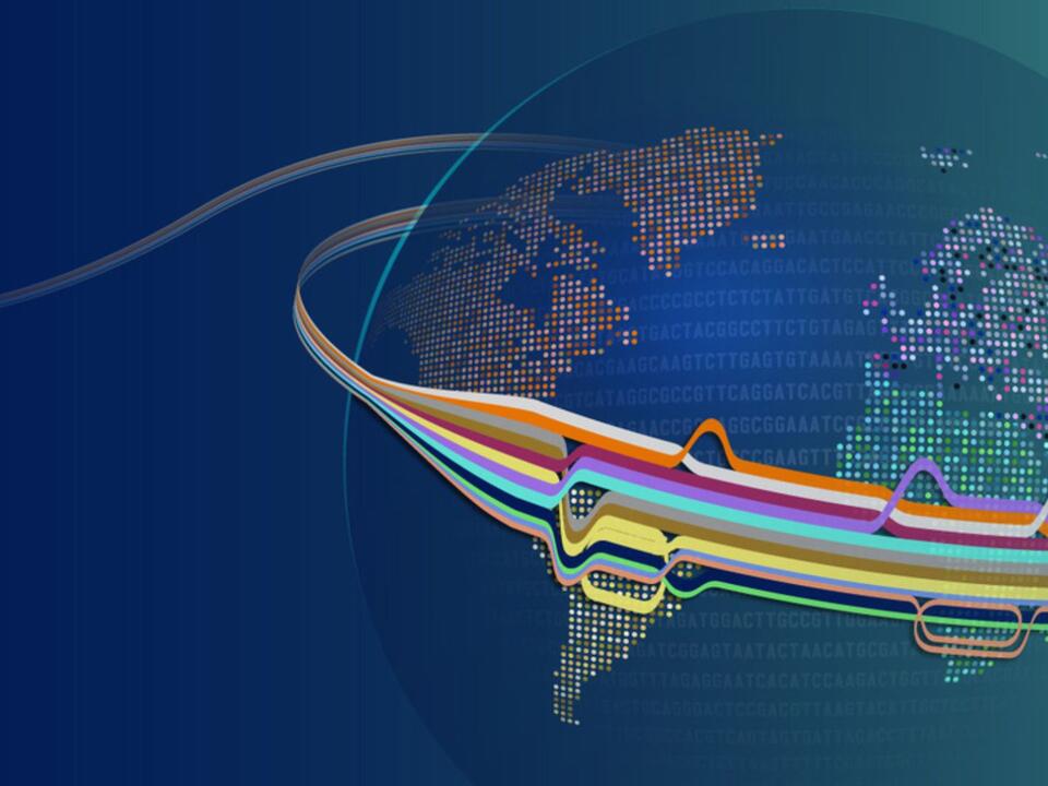 1st draft of a human 'pangenome' published, adding millions of ...