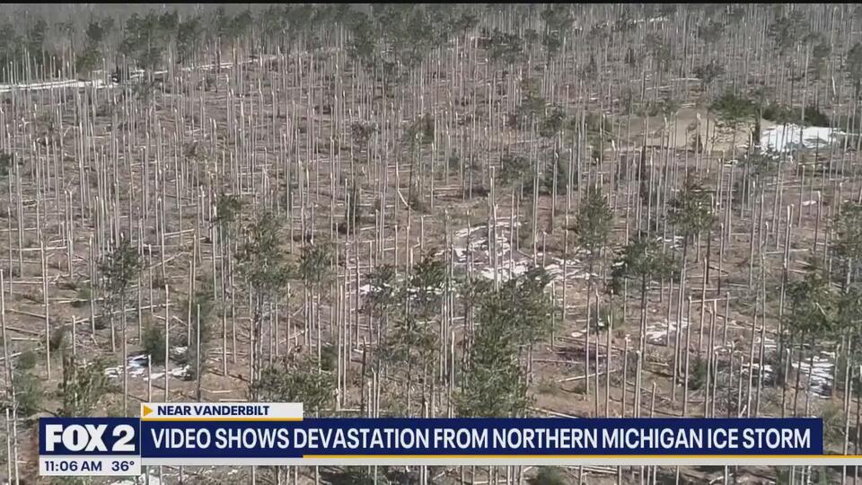 Michigan's devastating ice storm impacts continue to ripple, including ...