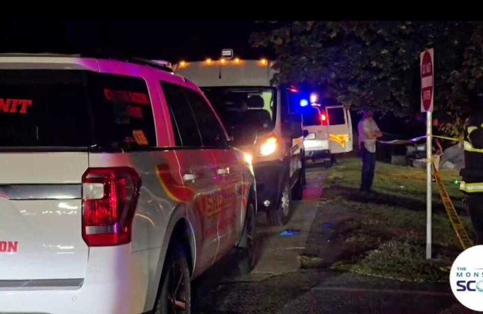 20-Year-Old Man Killed In Shooting In Spring Valley - NewsBreak