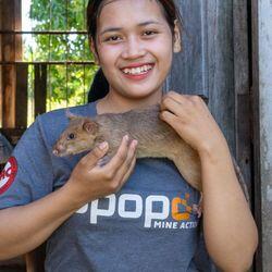 Meet Ronin, The Guinness World Record-Breaking Rat Who's Saving Lives ...