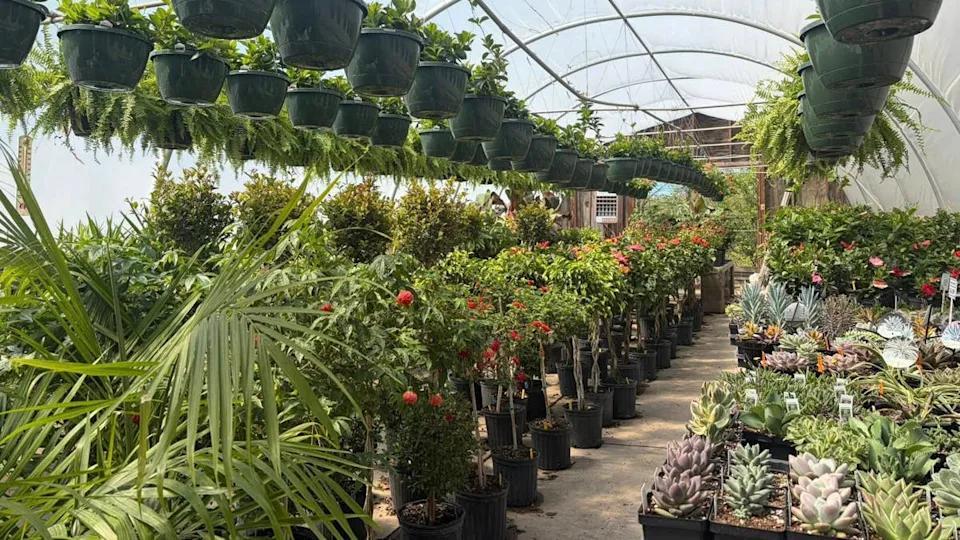 Gerten's Farm Market to end 43-year run after 2026 season - NewsBreak