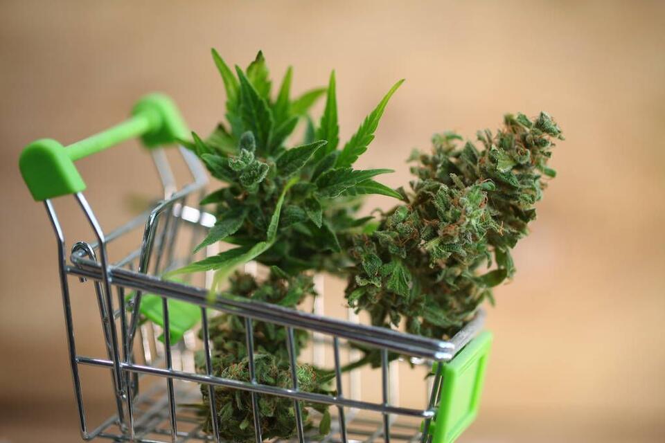 Rhode Island Marijuana Sales Top $120 Million in 2025, Over 3.4 Million ...