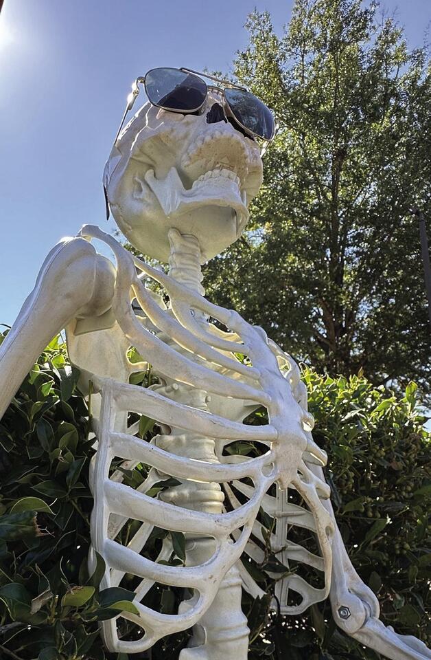 Them bones, them bones - NewsBreak