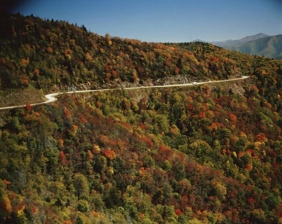 The Best Scenic Drives For Ultimate Fall Foliage - NewsBreak
