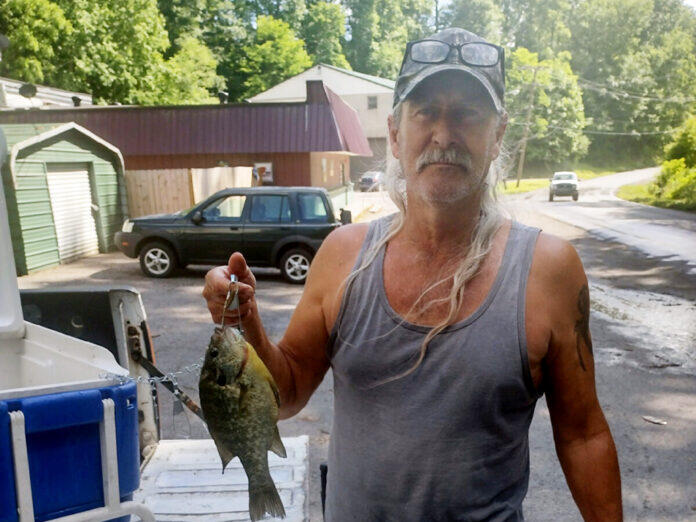 Fish caught in West Virginia break state records