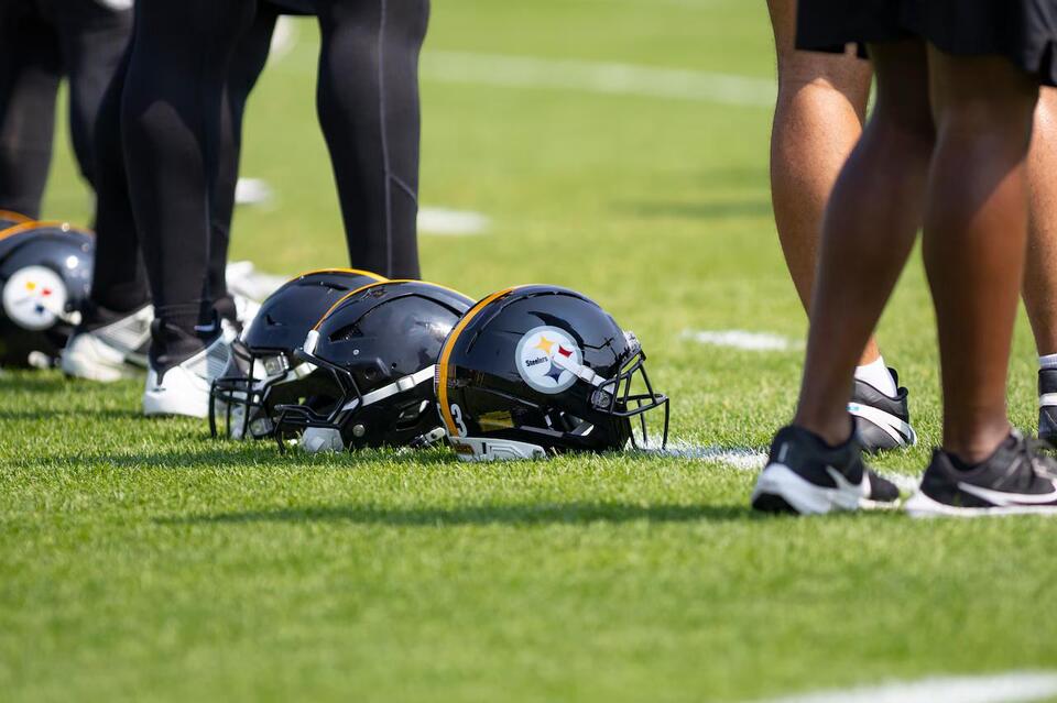 Longtime Pittsburgh Steelers reporter dies at 56 - NewsBreak
