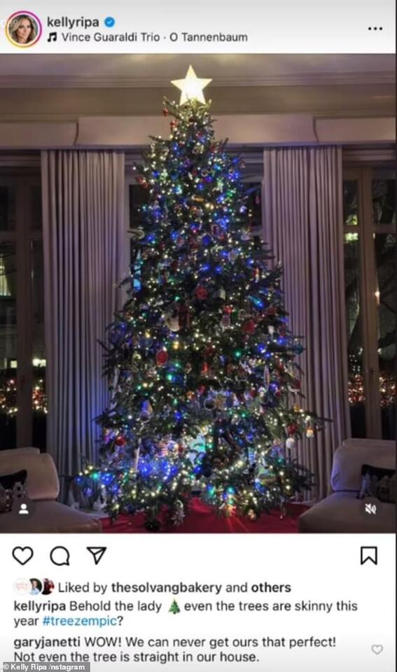 Kelly Ripa sparks debate over her new 'skinny' Christmas tree after ...