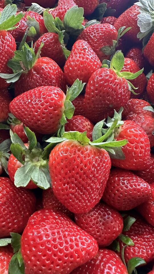 The Berry Farm's 5th Annual Strawberry Festival Returns for a Month of ...