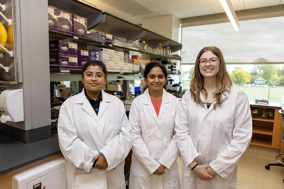 Prof. Sengupta and Undergraduate Researcher Sarah Henry Publish in ...
