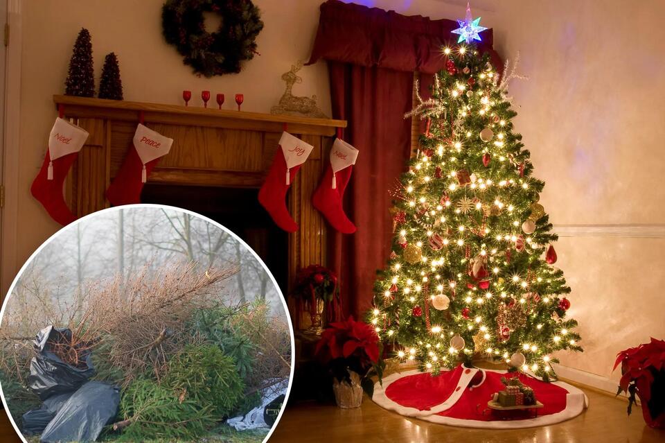 Are you leaving your Christmas tree up too long? Here’s when they ...