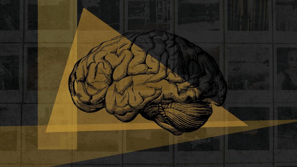 New Study Redefines Our Understanding of How Memory Works - NewsBreak