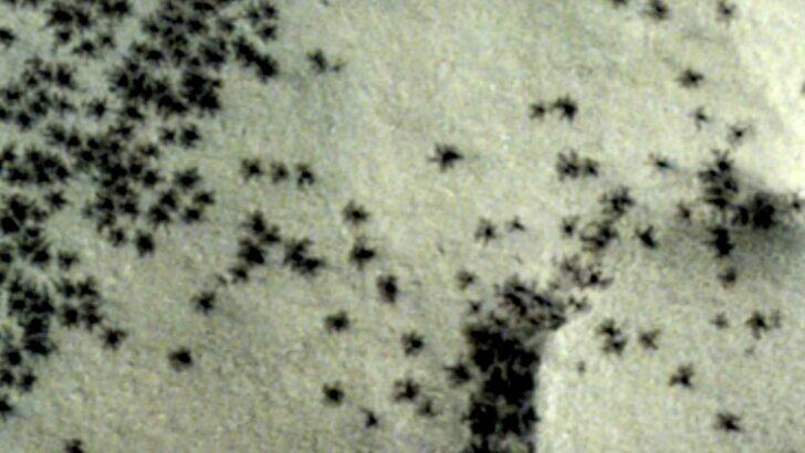 Getting to the Bottom of the Seasonal ‘Spiders’ Found on Mars - NewsBreak