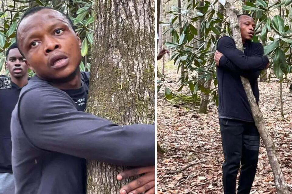 Environmentalist smashes world record by hugging 1,123 trees in one ...