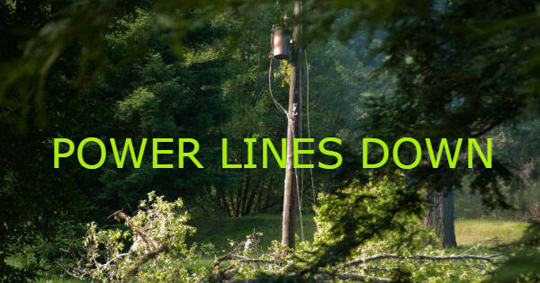 [UPDATE 2:14 p.m.: Reopened] Avenue of the Giants Closed Due to Fallen ...
