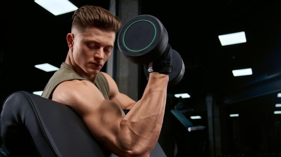 10+ Powerful Long Head Bicep Exercises To Build Taller, More Defined ...