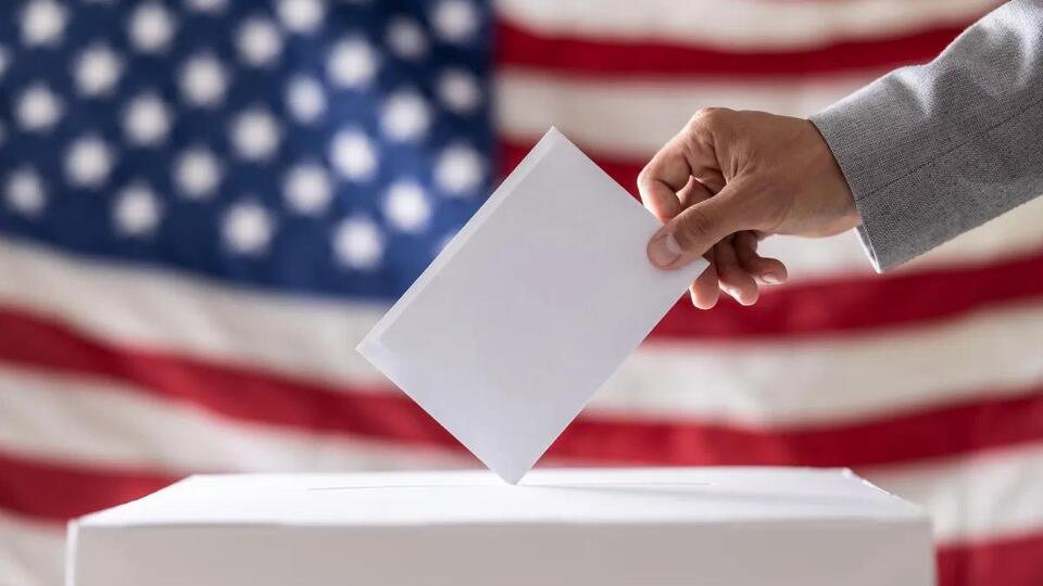 See your sample ballot for Election Day in Illinois' 2026 primary ...
