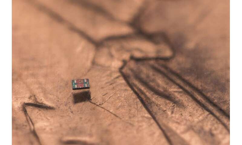 Researchers create world's smallest programmable, autonomous robots ...