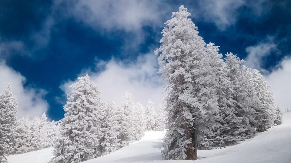 Arizona Weatherman’s long-range prediction for winter potential of the ...