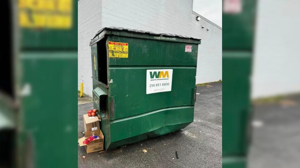 Rescuers Take A Look Inside The Dumpster, What They See Completely ...
