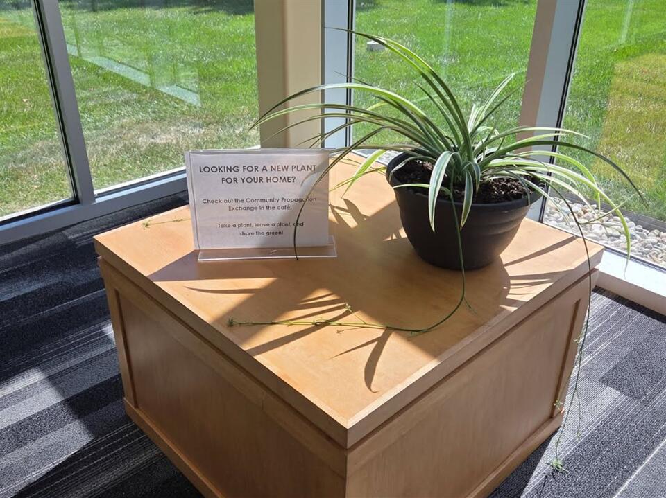 Propagation exchange at Oregon library offers free plant cuttings ...