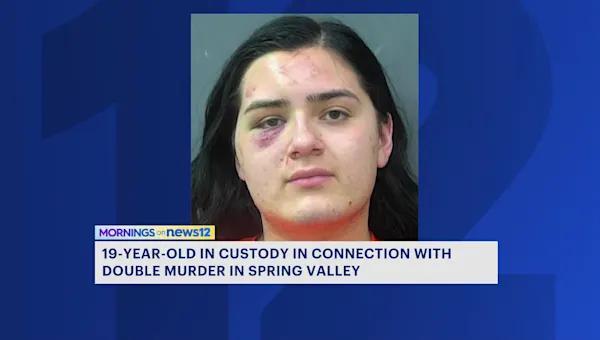 Teen suspect in Spring Valley double homicide due in court Thursday ...