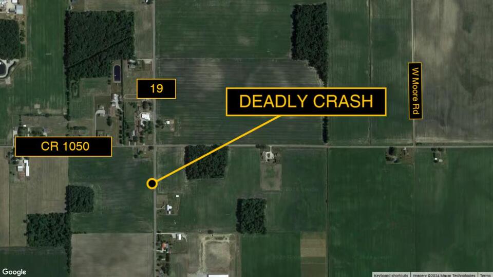 Woman and horse dead, 4 others injured in crash involving buggy in ...
