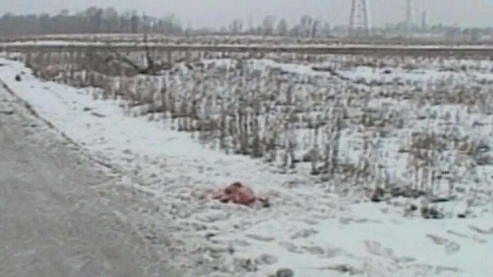 Franklin cold case heats up with new technology - NewsBreak