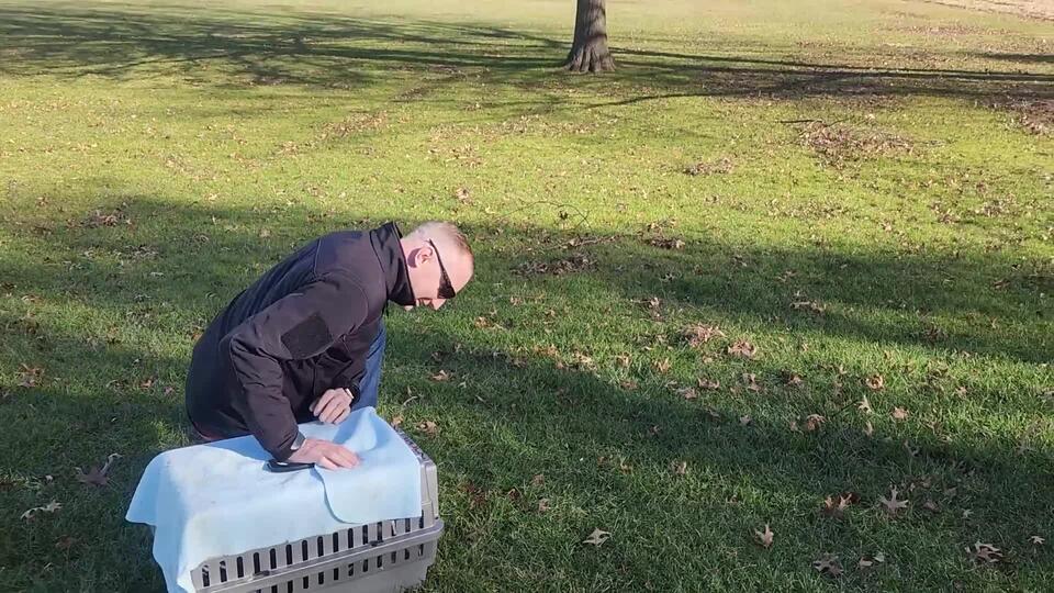 Read the original article on ctpost.com - NewsBreak