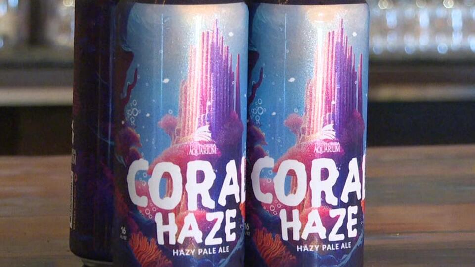 Drink a beer at Coppertail Brewing and help save the coral reefs ...