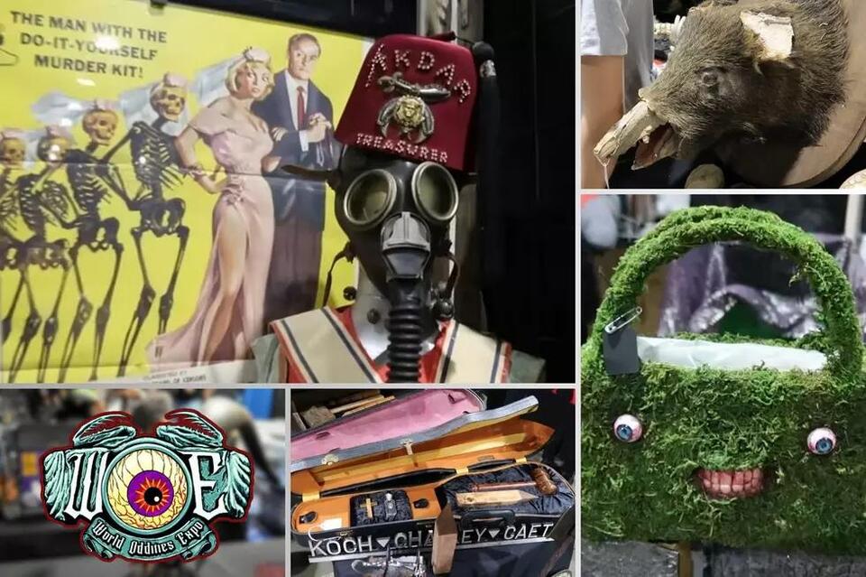 World Oddities Expo Coming to KY, TN, & IN in 2025 - NewsBreak