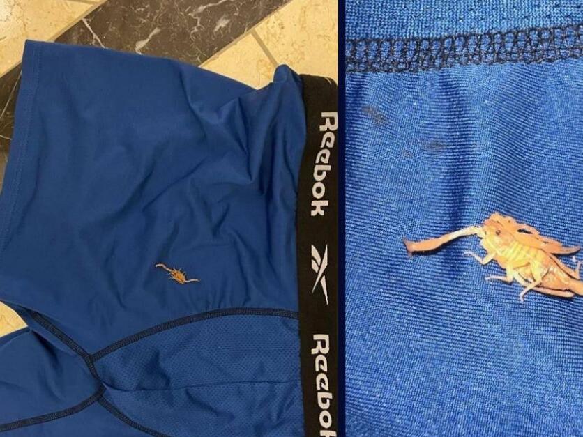 'Stinging sensation in his groin area:' Vegas hotel employees 'laughed ...