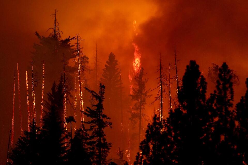 California hit by 5 wildfires as 1,165-acre blaze forces evacuations ...