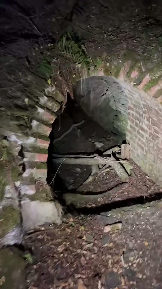Secret Mine in the Forest mine wald forest bunker ww2 lostplace ...