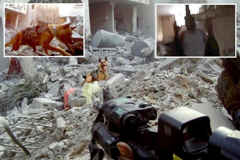 Israeli army canines work as four-legged scouts, securing buildings and ...