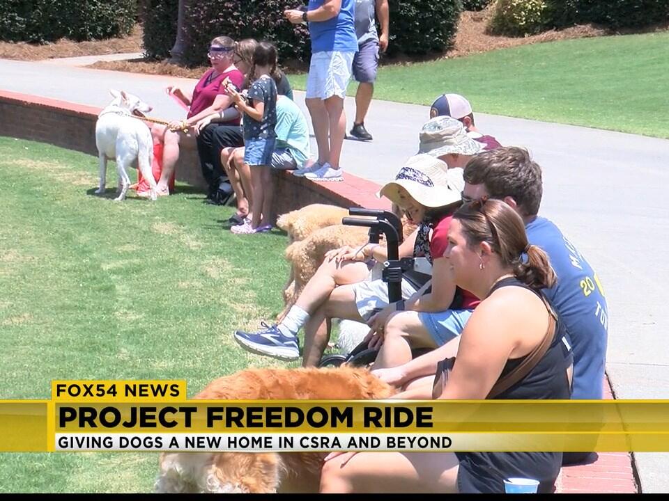 Project Freedom Ride host a special day for dogs