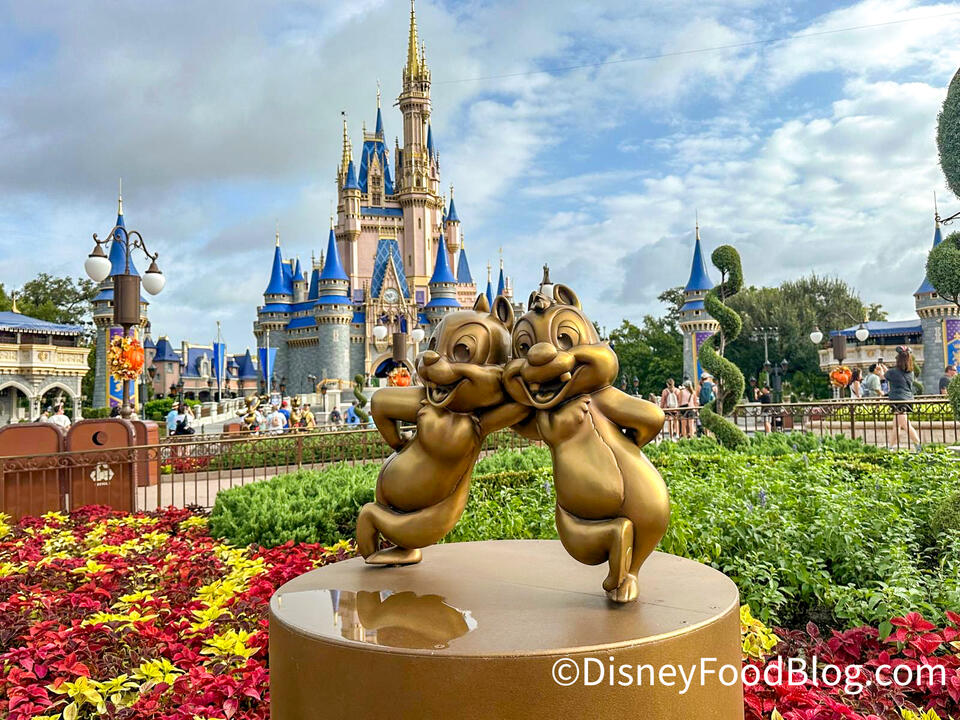 I Spent $185 for This Disney World Perk, and I’d Do It Again in a ...