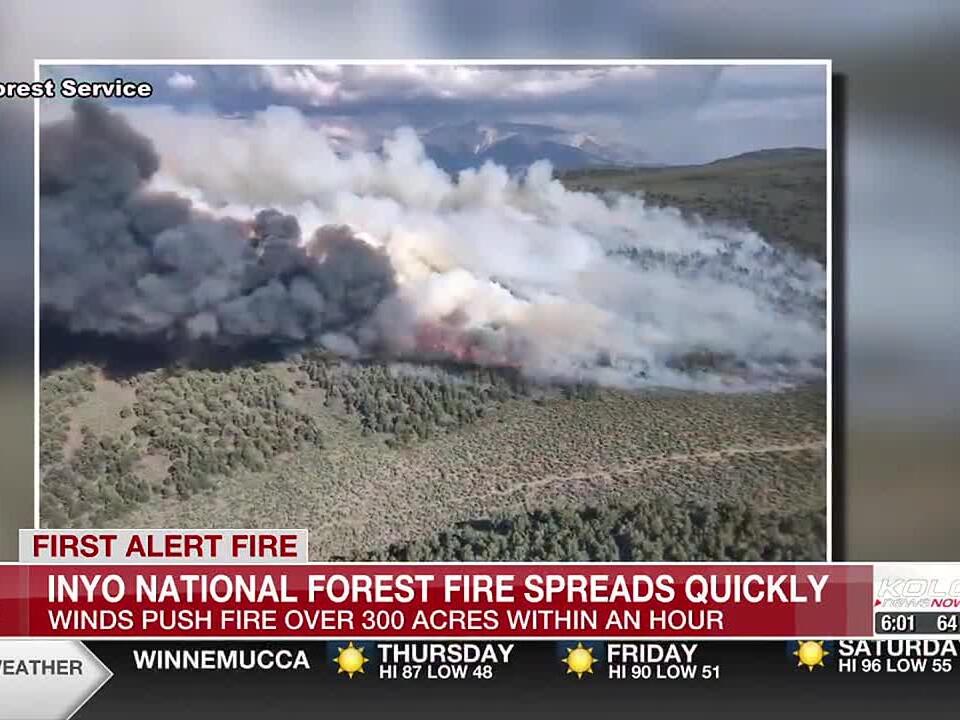 Pizona Fire breaks out in Inyo National Forest
