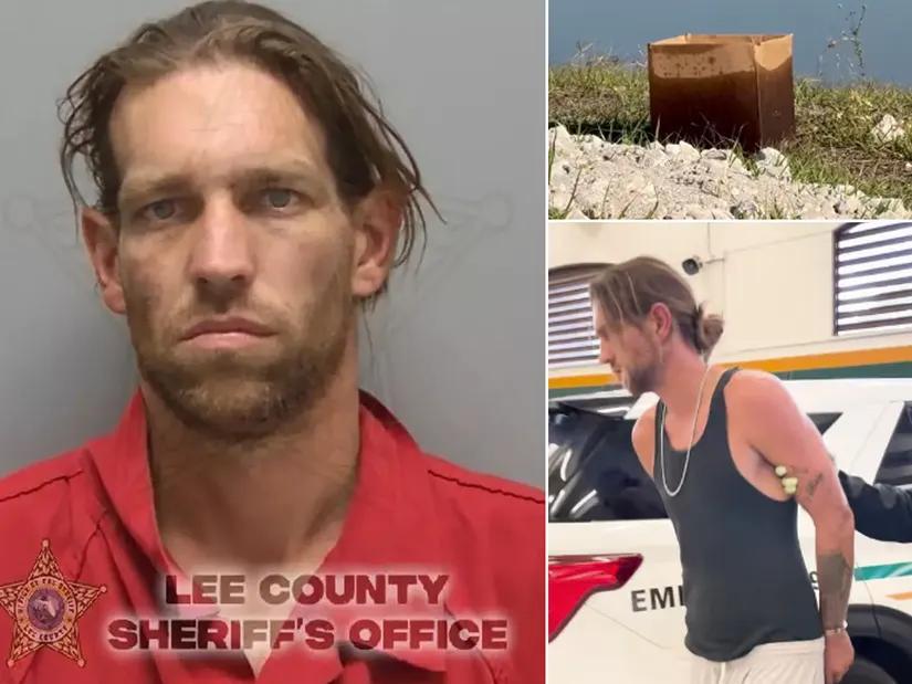 'Sick' Florida Man Left 'Two Cat's Severed Heads' Atop Homeowner's ...