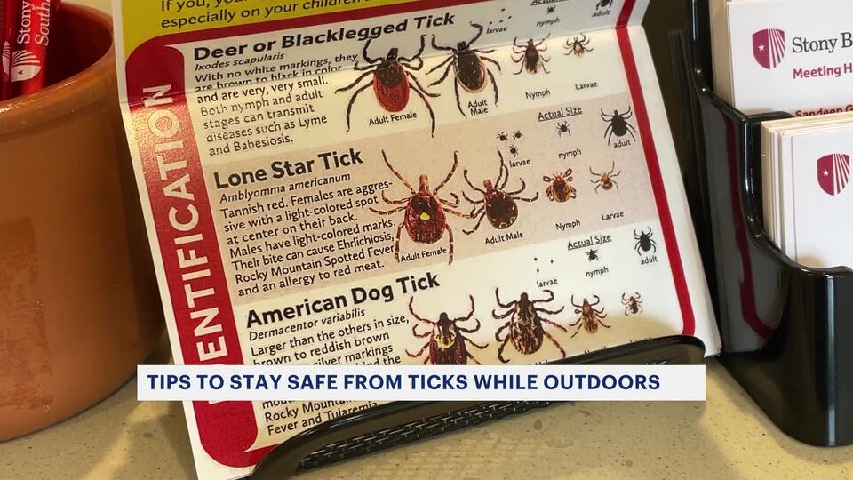 LI doctors say they are seeing more tick bites this season - NewsBreak