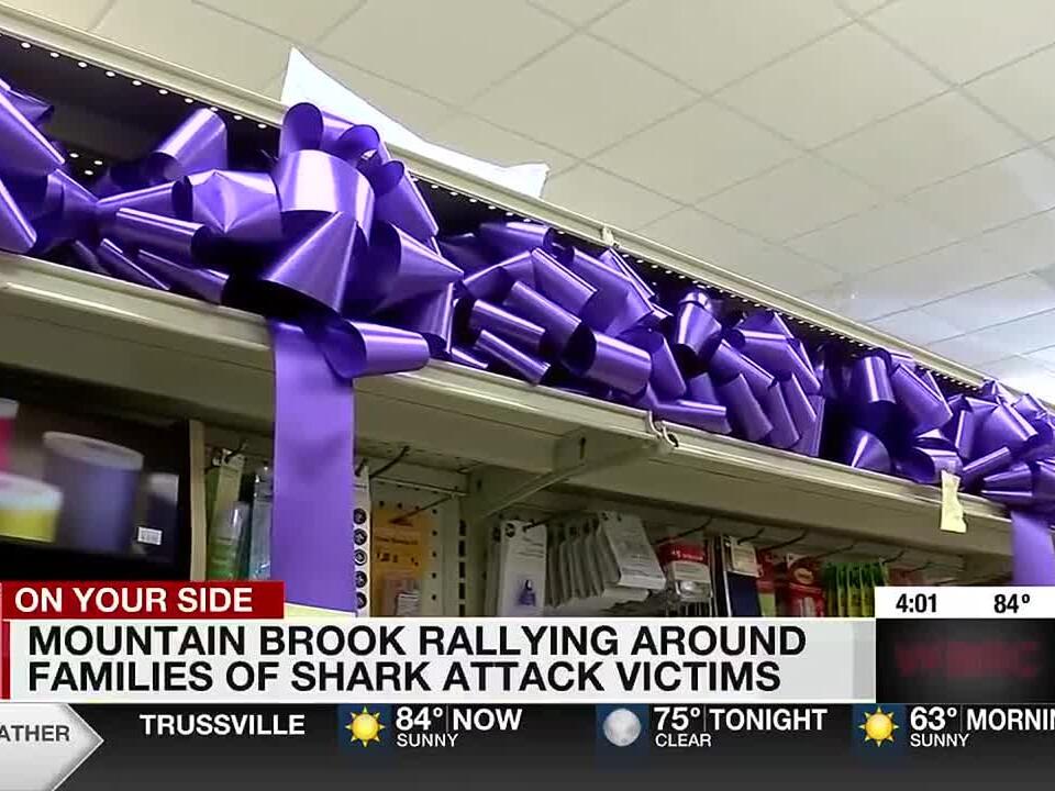 Mountain Brook rallying around families of shark attack victims