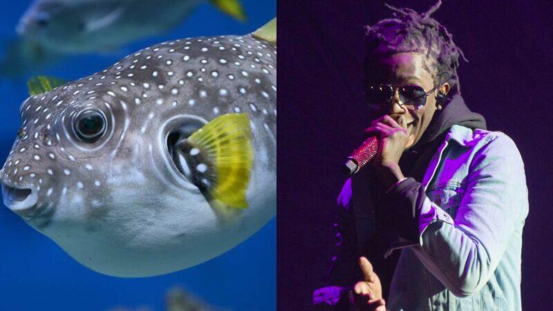 “WTF This Gotta Do With Me?“: Young Thug Hits Back At Viral Social ...