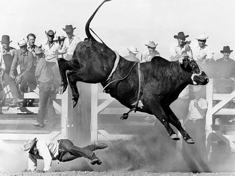 Cowboys, Courage, and Chaos: 15 Photos from the Early Rodeo Frontier ...