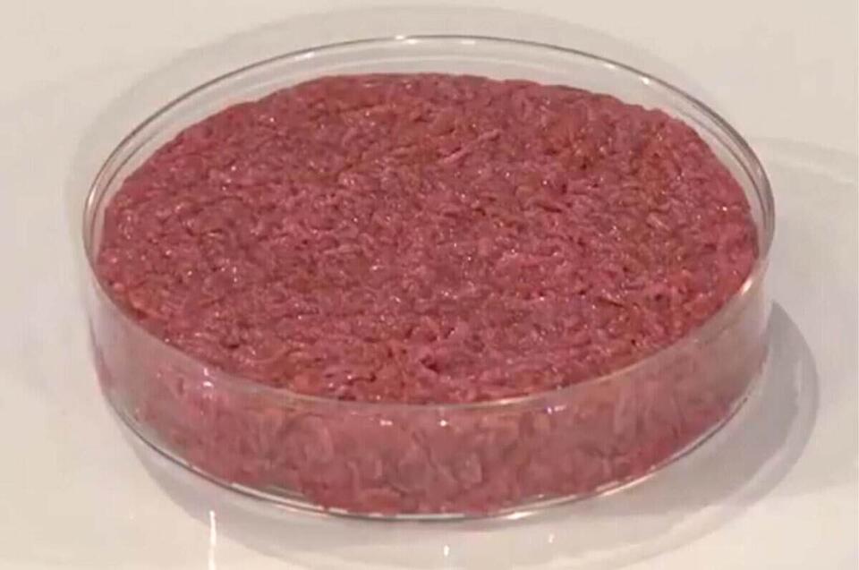 Lab-Grown Meat: 5 Things You Need to Know About America's Most ...