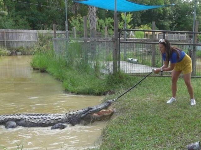 One Tank Trips with Falon Brown: Ponchatoula