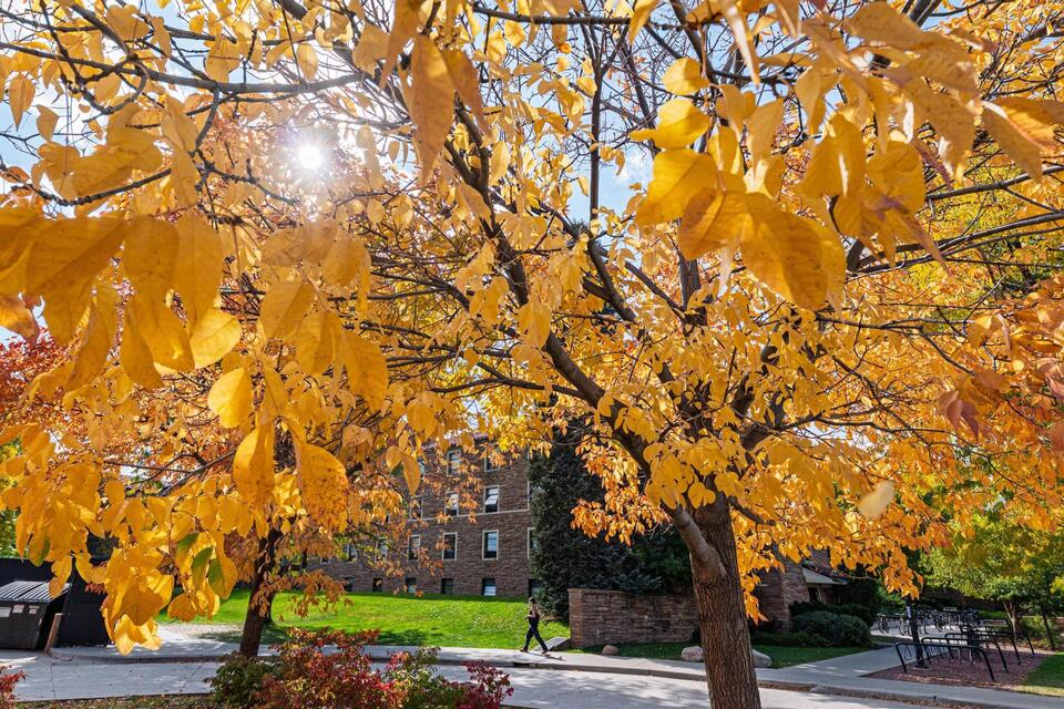 Leaders outline budget planning in campus town hall - NewsBreak