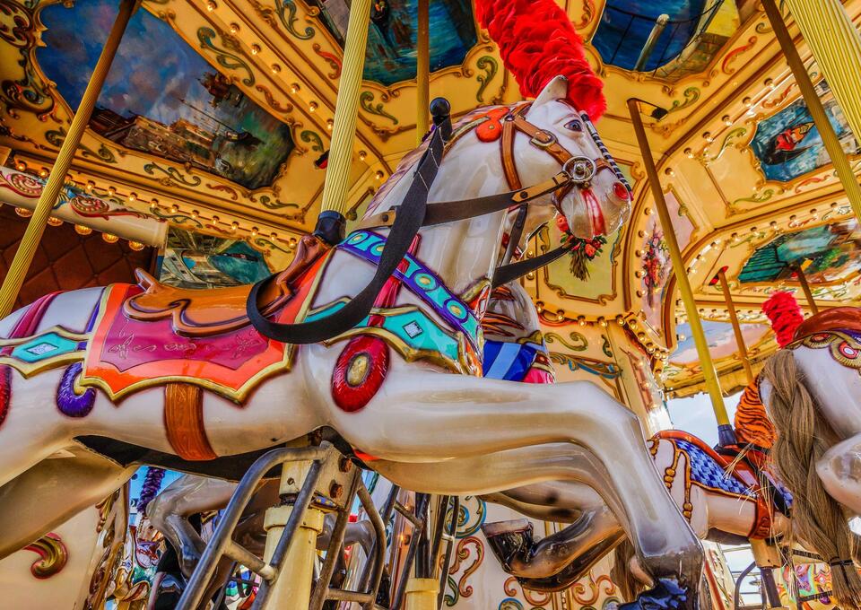 Homecoming Theme Revealed as “Carousel of Memories” for 2025 - NewsBreak
