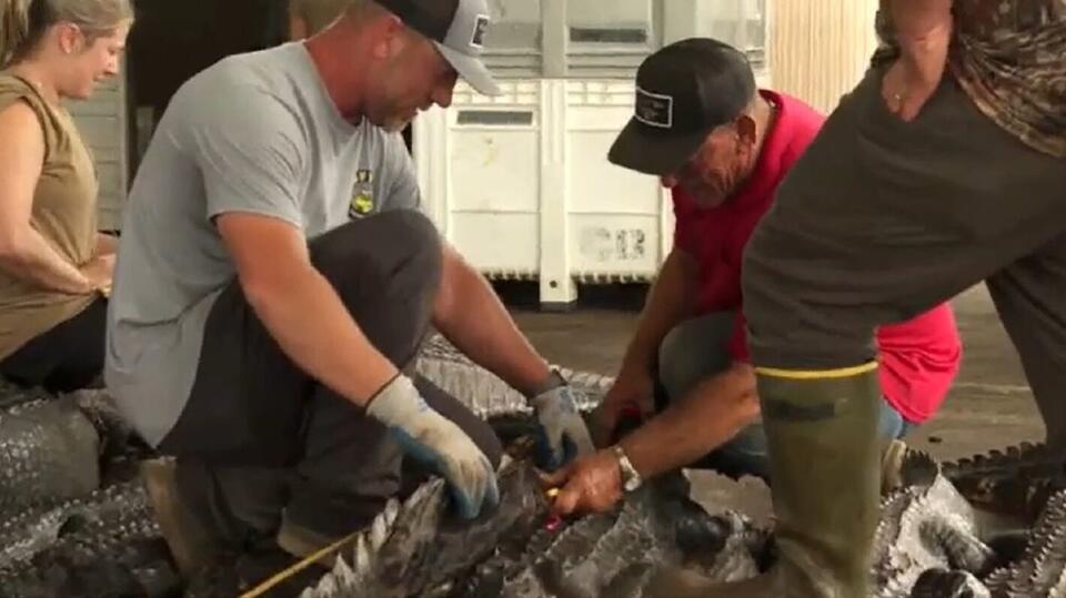 ‘Swamp People’: Troy Landry & Son Jacob Raise Gator Catching Stakes ...