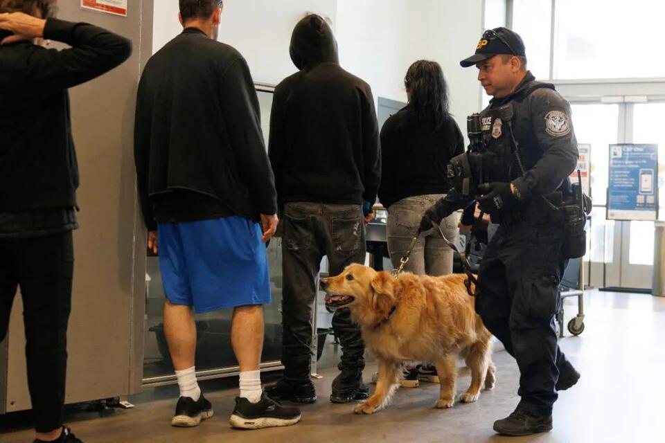 The Nose Knows: Role of Goose in San Ysidro, Other Drug-Sniffing Dogs ...